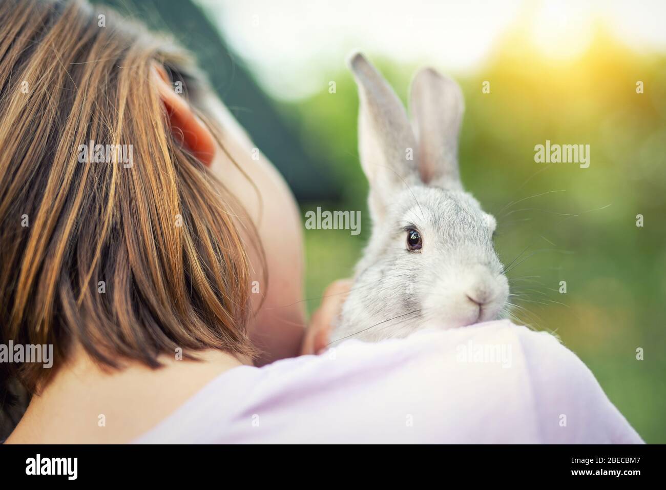 Cute adorable sweet little rabbit sitting on shoulder of young adult ...