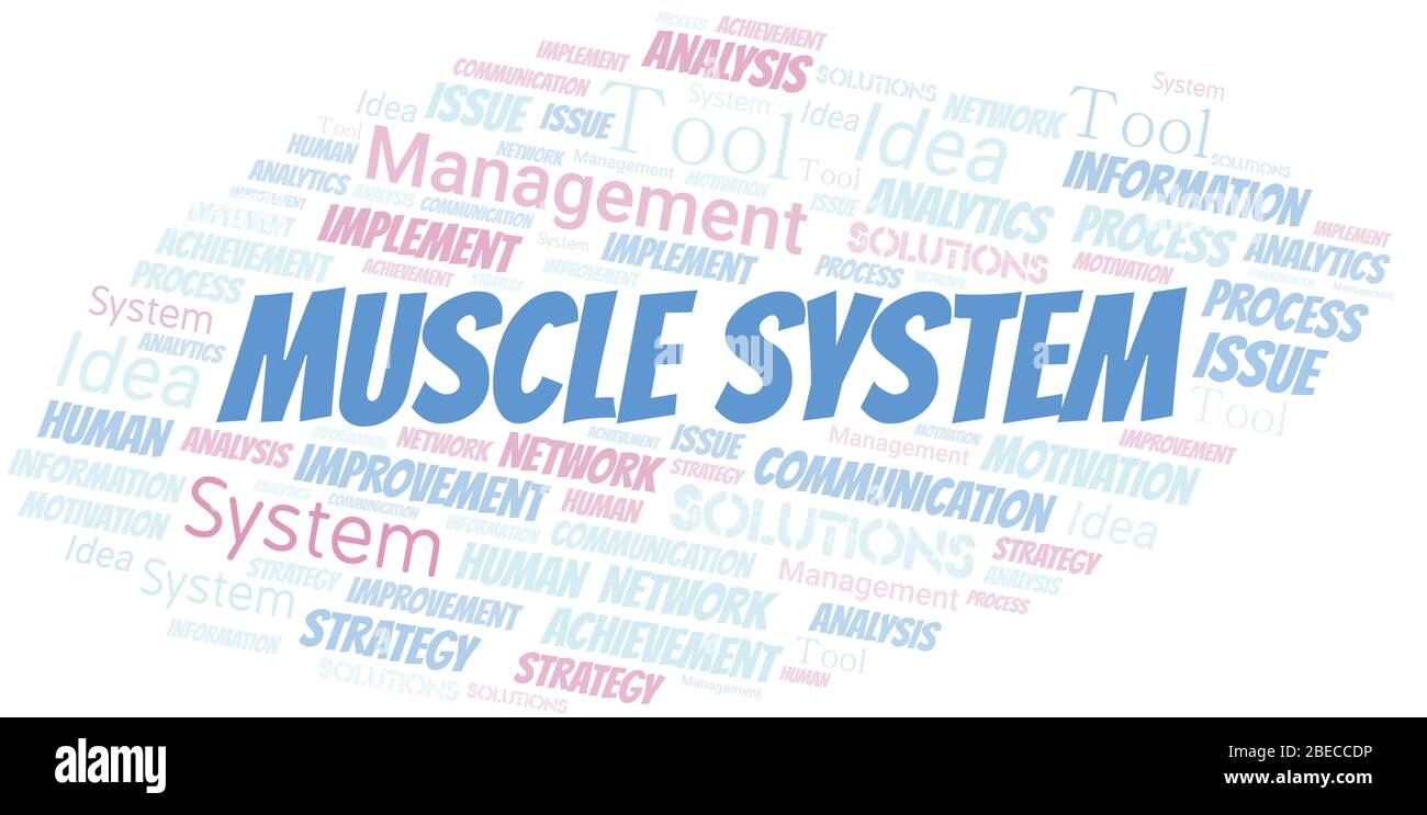 Muscle System typography vector word cloud. Wordcloud collage made with ...