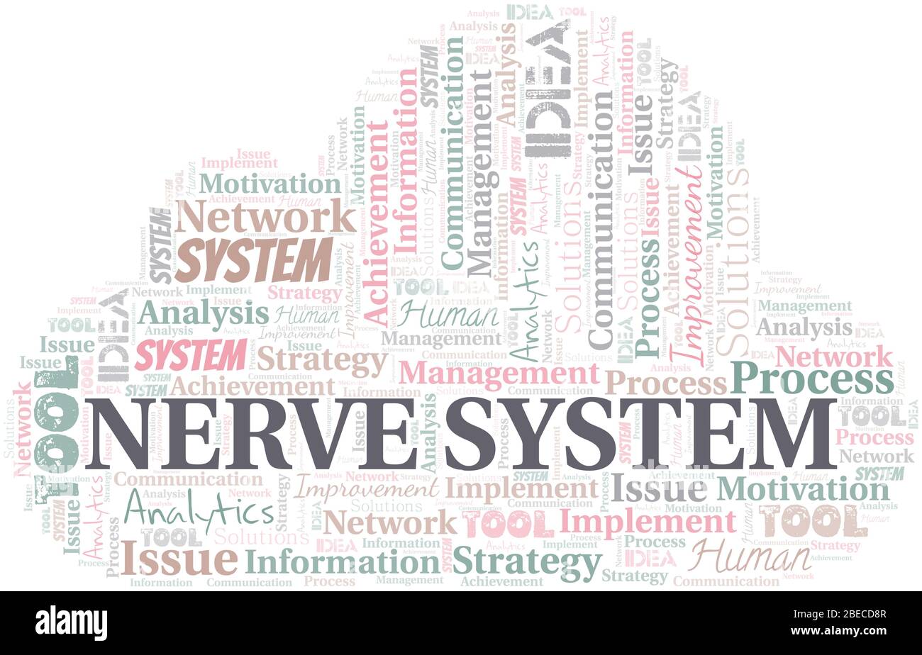 Nerve System typography vector word cloud. Wordcloud collage made with ...