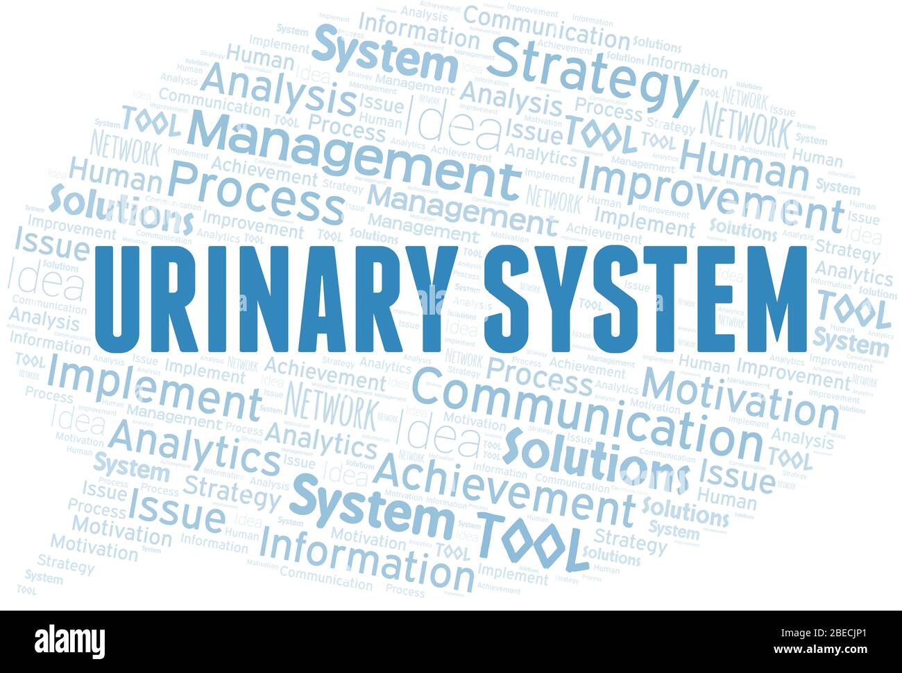 Urinary System typography vector word cloud. Wordcloud collage made ...