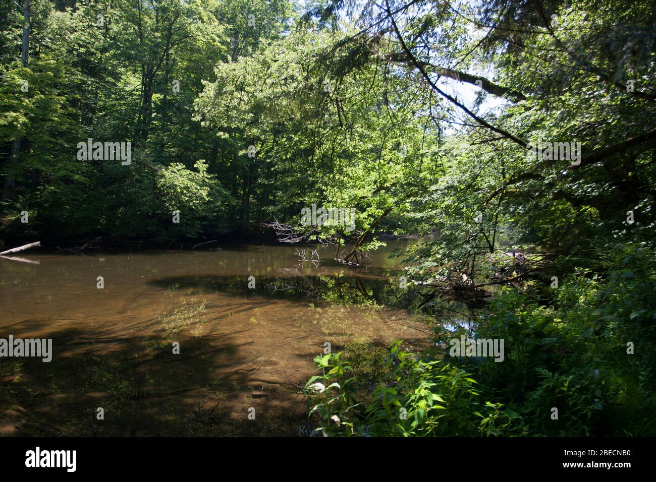 Mohican river hi-res stock photography and images - Alamy