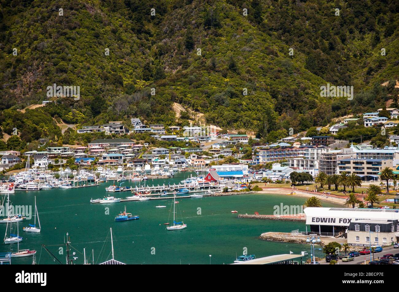 View of Picton Harbour from above with the boats, houses and the Edwin ...