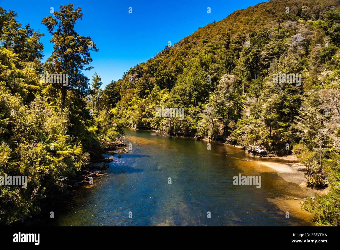 Nelson coast trail new zealand hi-res stock photography and images - Alamy