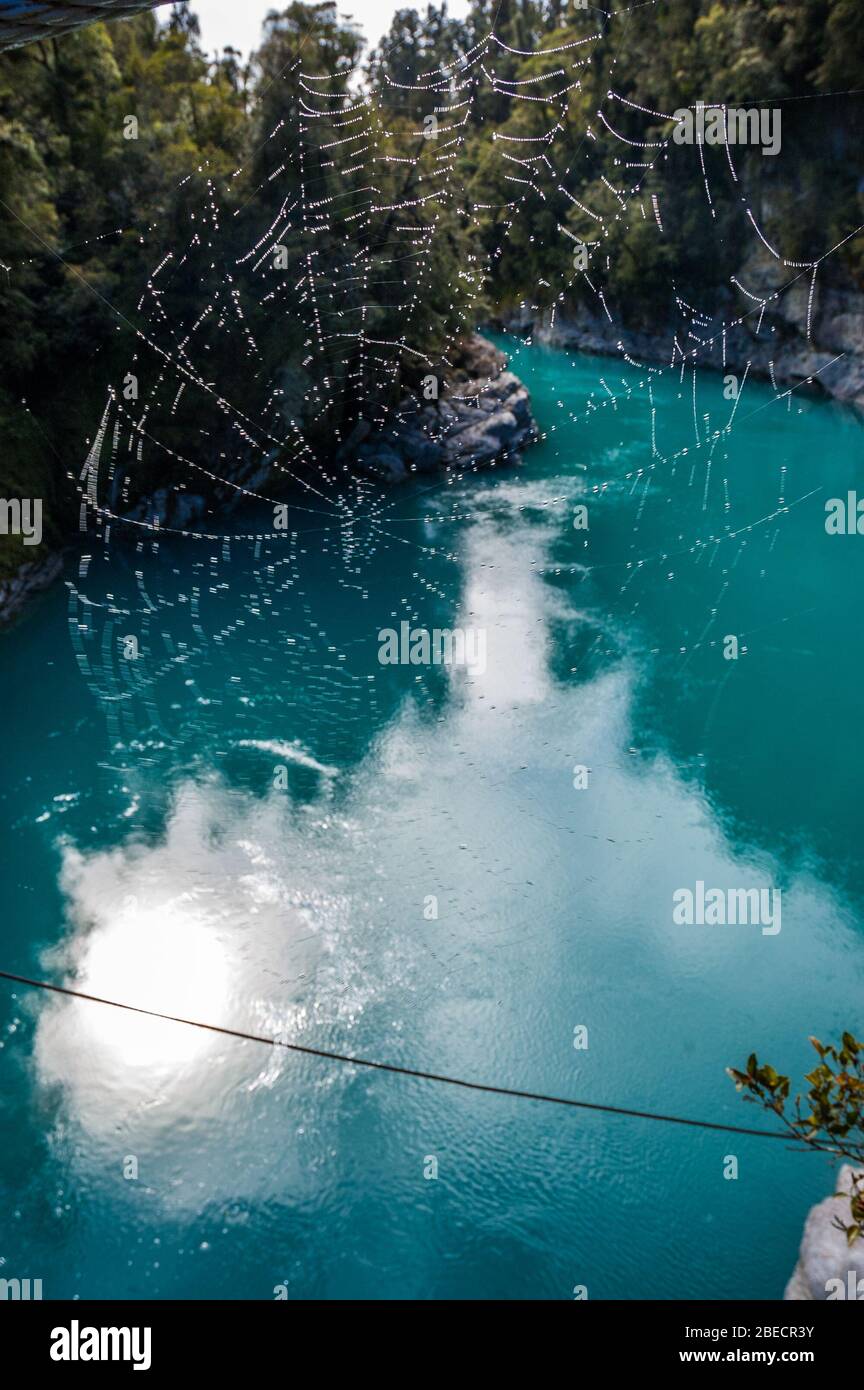 Native spiders hi-res stock photography and images - Alamy