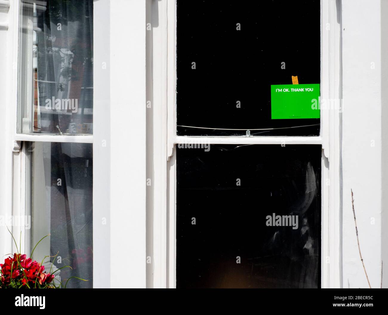 I'M OK THANK YOU; a sign in the window of a north London home during ...