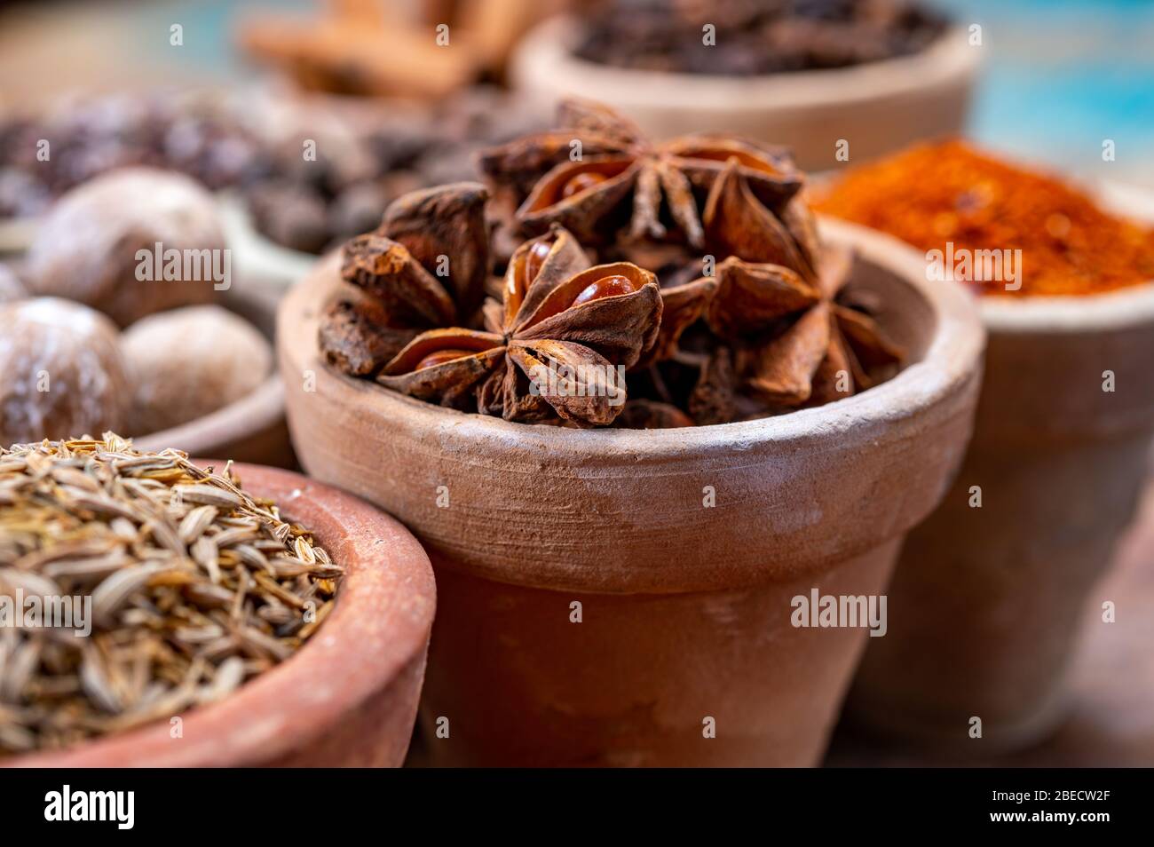 Indian spices collection, dried aromatic star anise and another spices ...