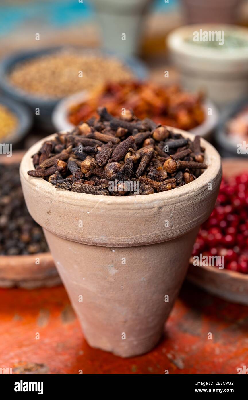 Indian spices collection, dried aromatic cloves flower buds and another ...