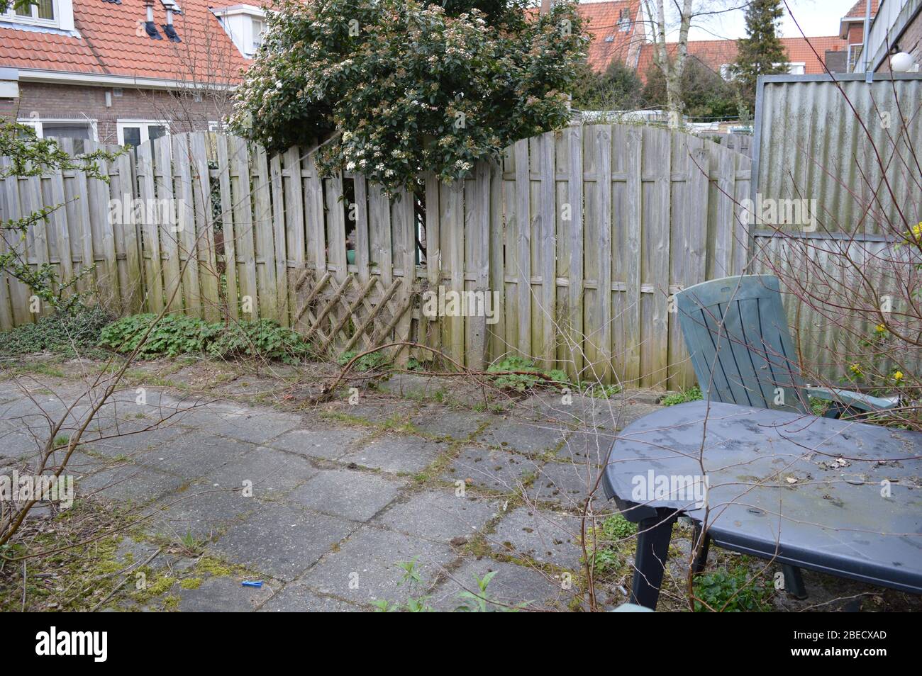 Tree Growing Over Fence At Amsterdam The Netherlands 2015 Stock Photo ...