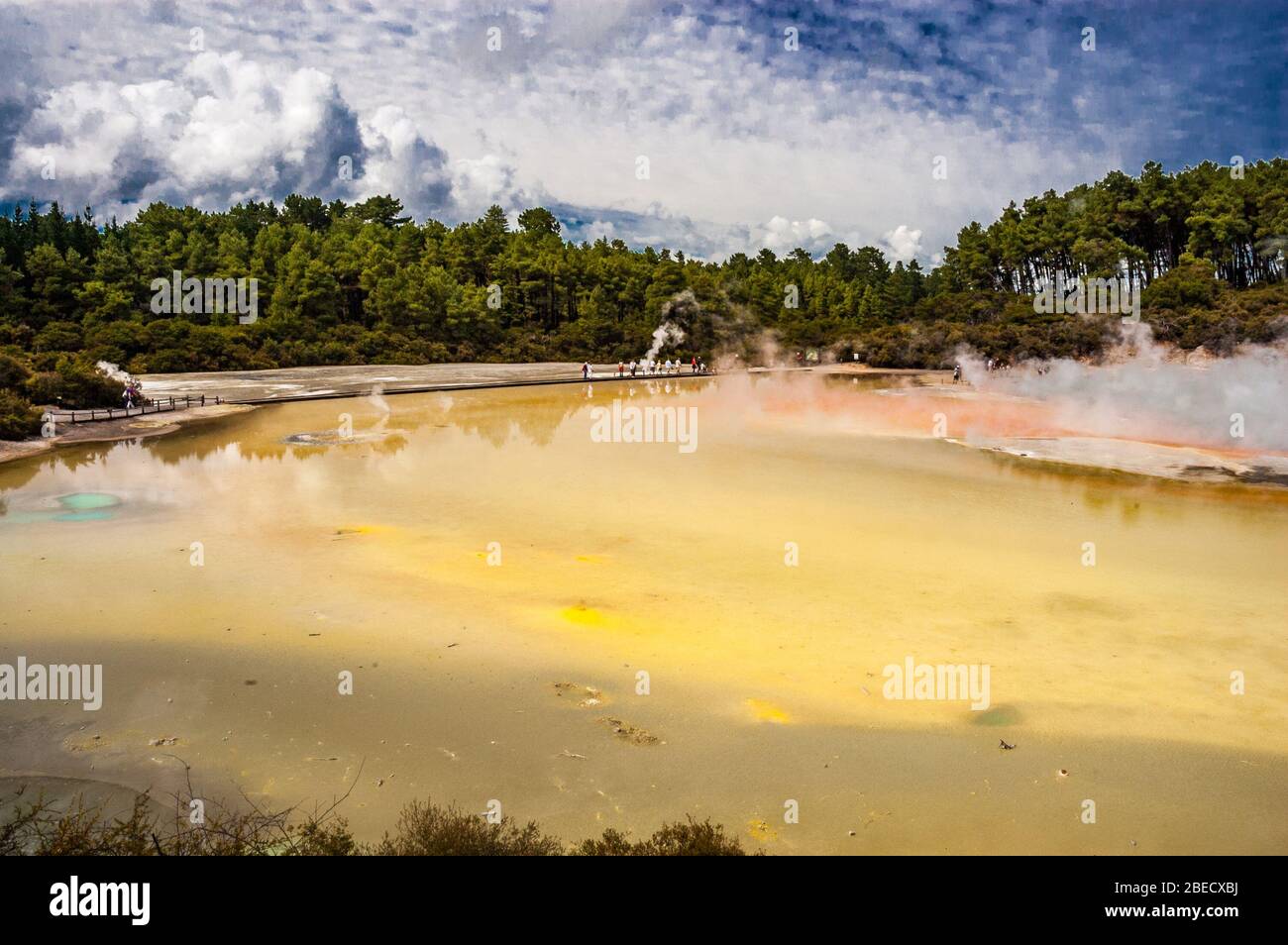 Central Pools at the Wai-O-Tapu Thermal Wonderland, Rotorua, New ...