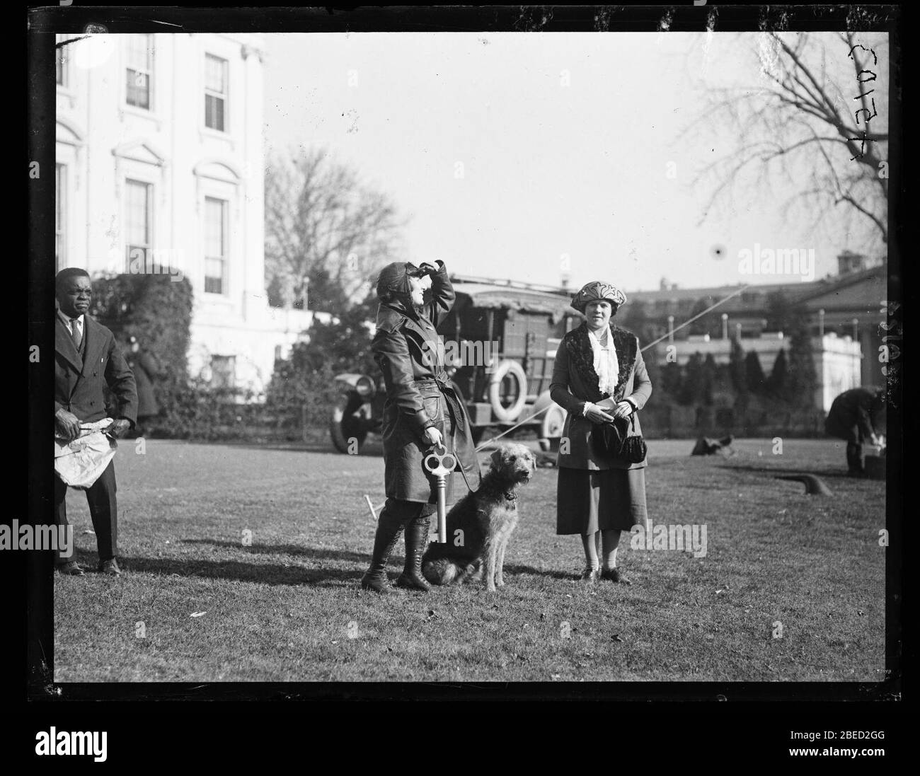 Harding's dog Laddie Boy at the White House, Washington, D.C Stock ...