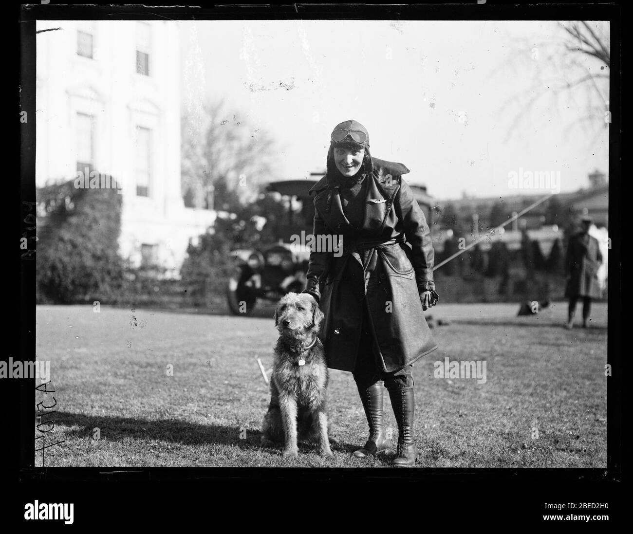 Harding's dog ‘Laddie Boy‘ at the White House, Washington, D.C Stock ...