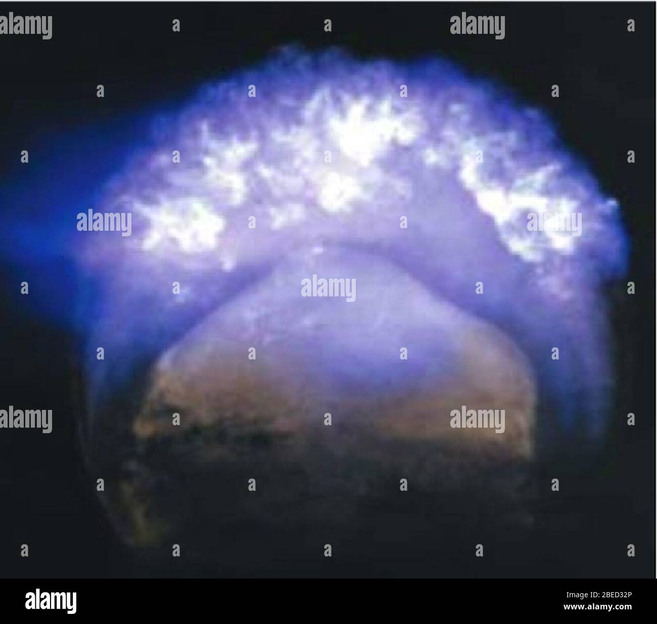 Hardtack historical hi-res stock photography and images - Alamy