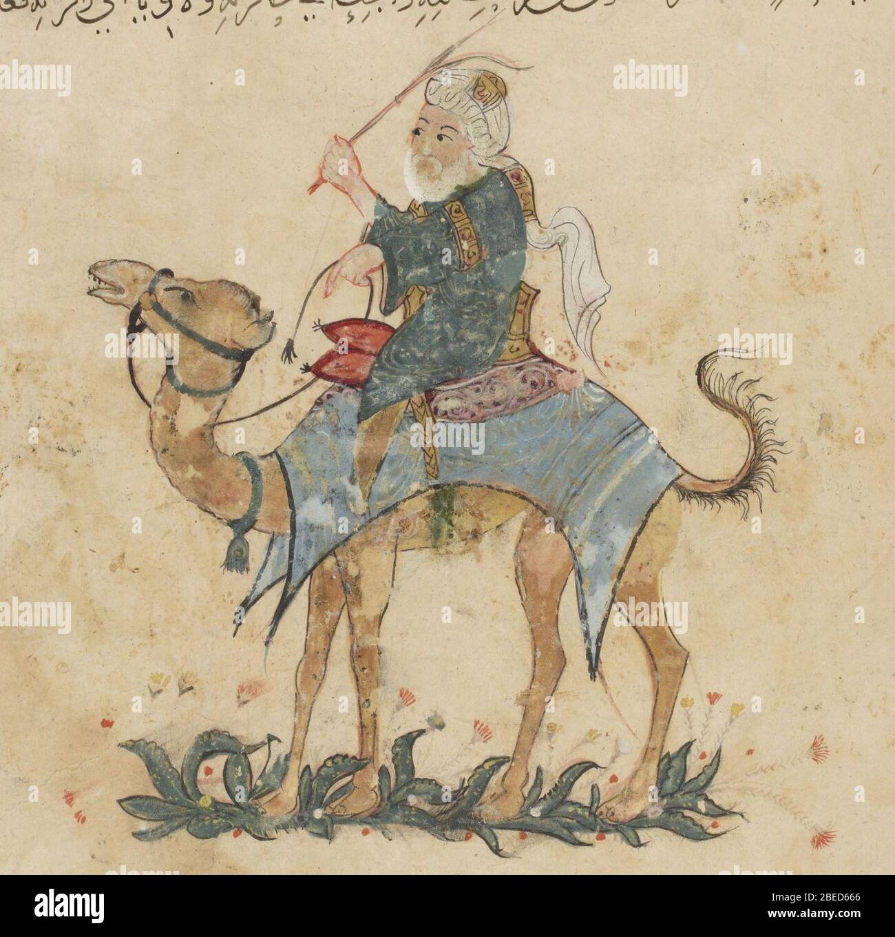 Schefer hi-res stock photography and images - Alamy