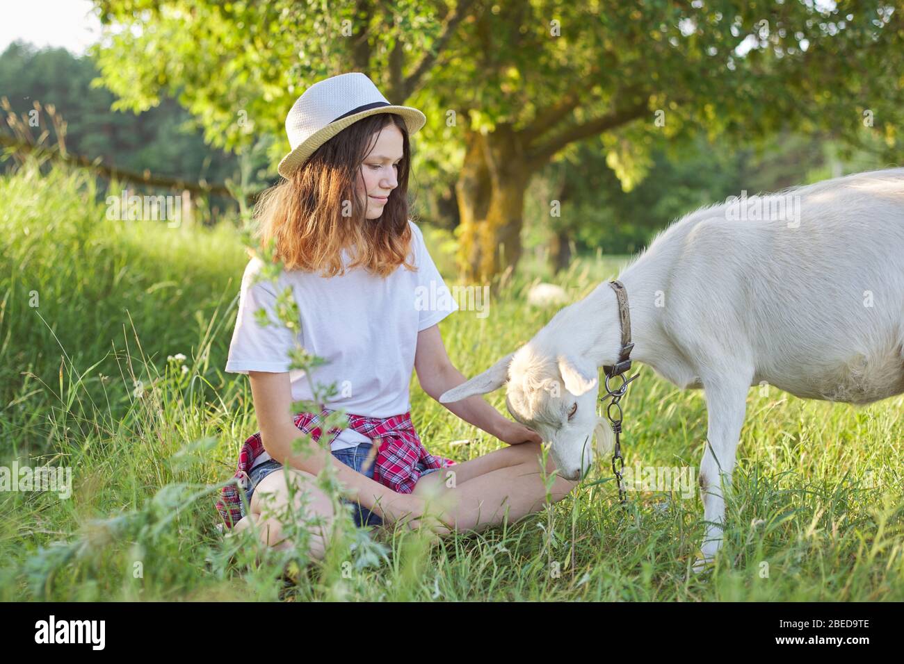 Teen female teenager goat hi-res stock photography and images - Alamy