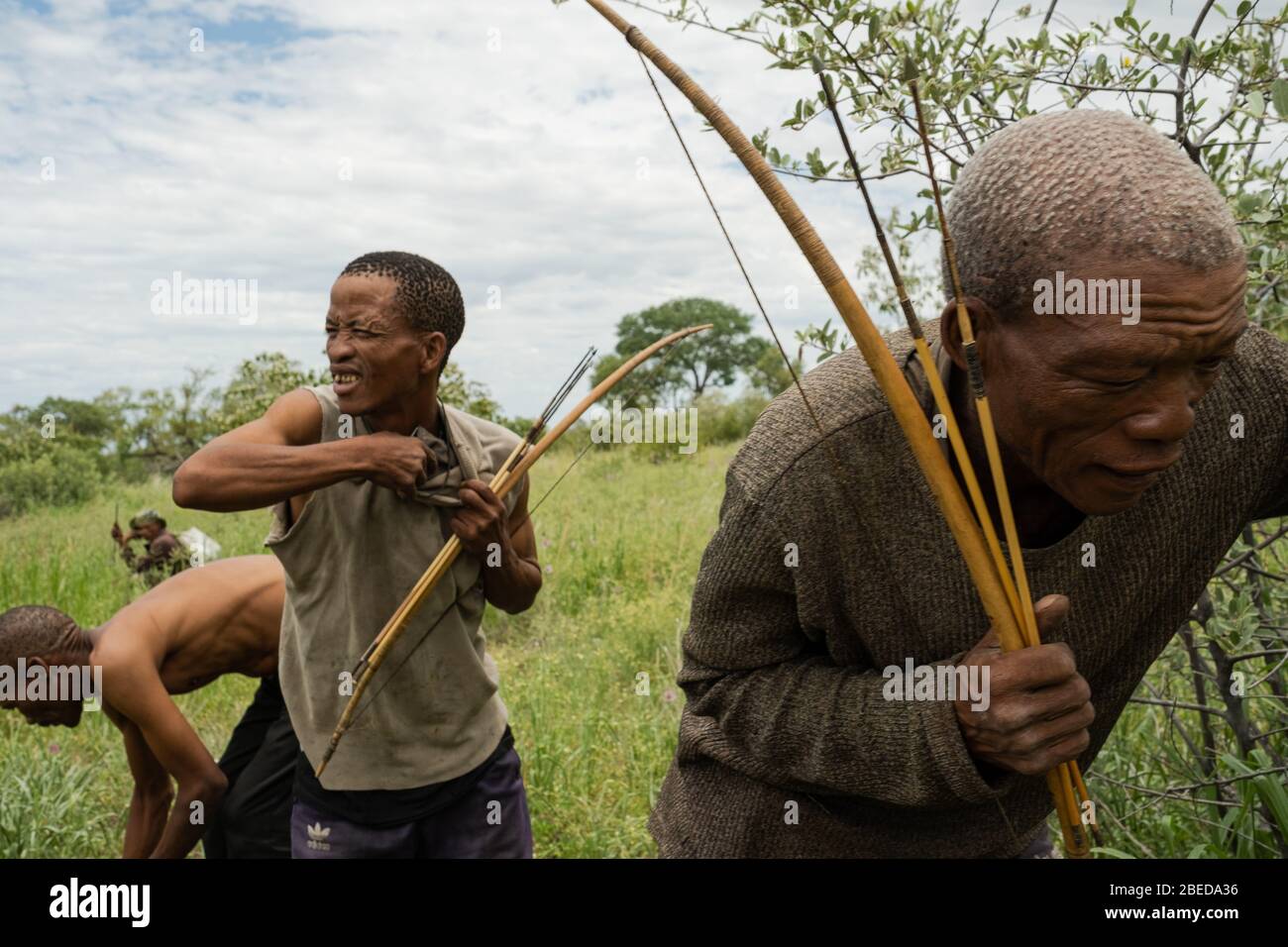 Hunters from the village of Deng//e in Nyae Nyae (Namibia) spot a Kudu ...