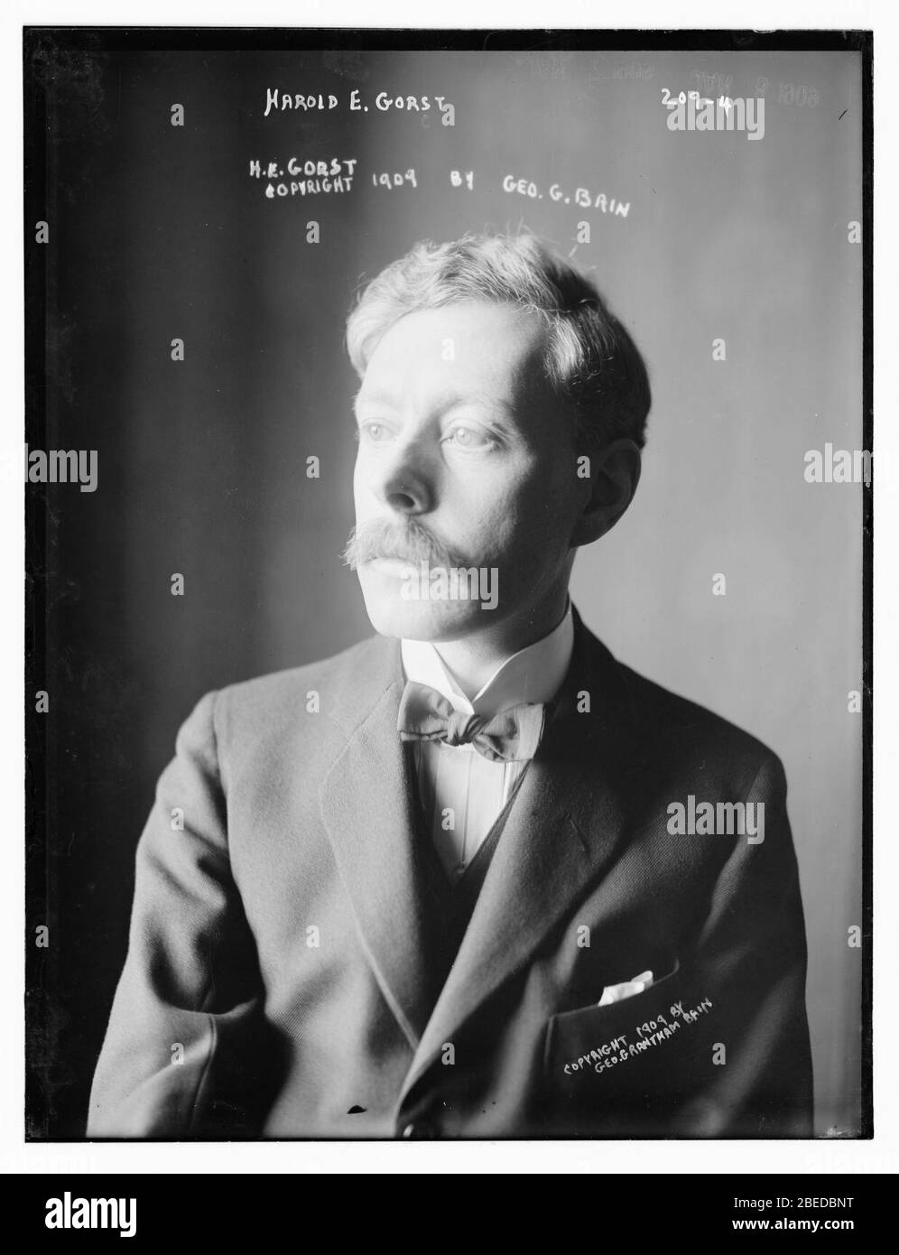 Gorst hi-res stock photography and images - Alamy