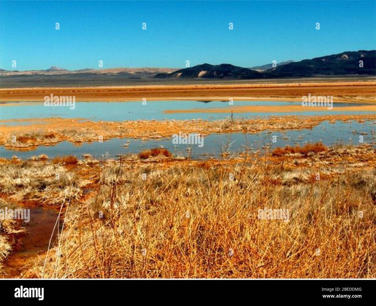Harper Dry Lake Marsh Stock Photo - Alamy