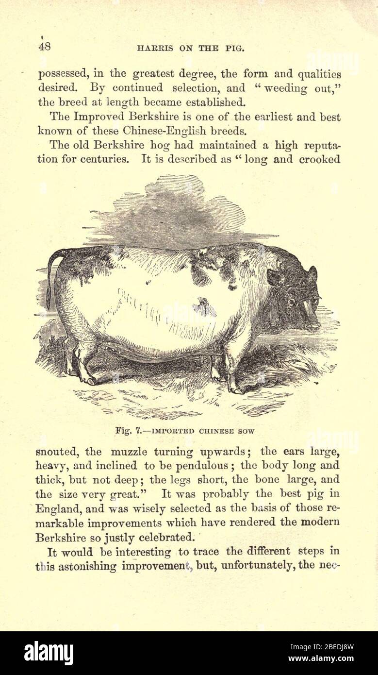 Harris page hi-res stock photography and images - Alamy