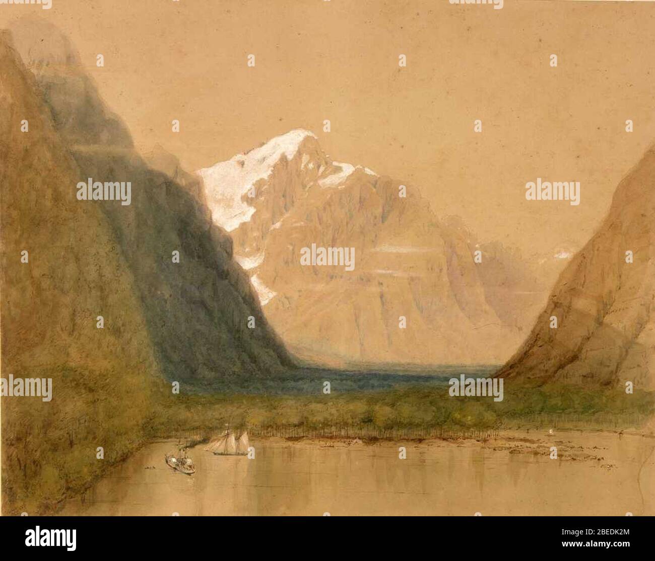 Harrison's cove, Milford Sound. C-025-019 Stock Photo - Alamy