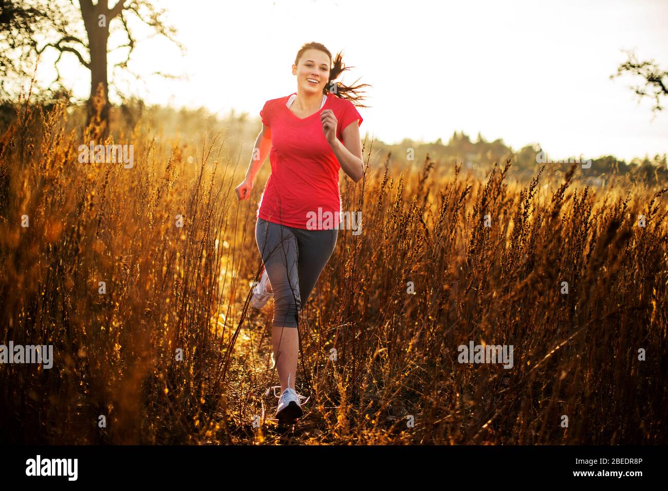 Young woman jogging through tall grass on a trail in the late afternoon ...