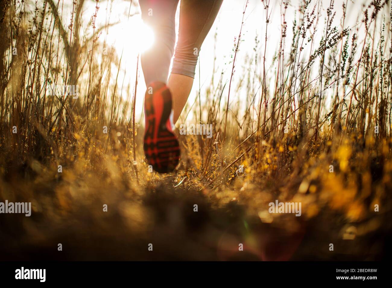 Young woman running through tall grasses on a trail in the late ...