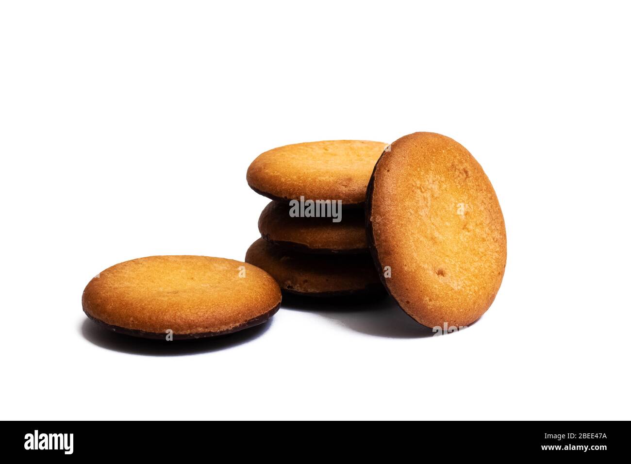 Round sponge cookies isolated on white background Stock Photo - Alamy