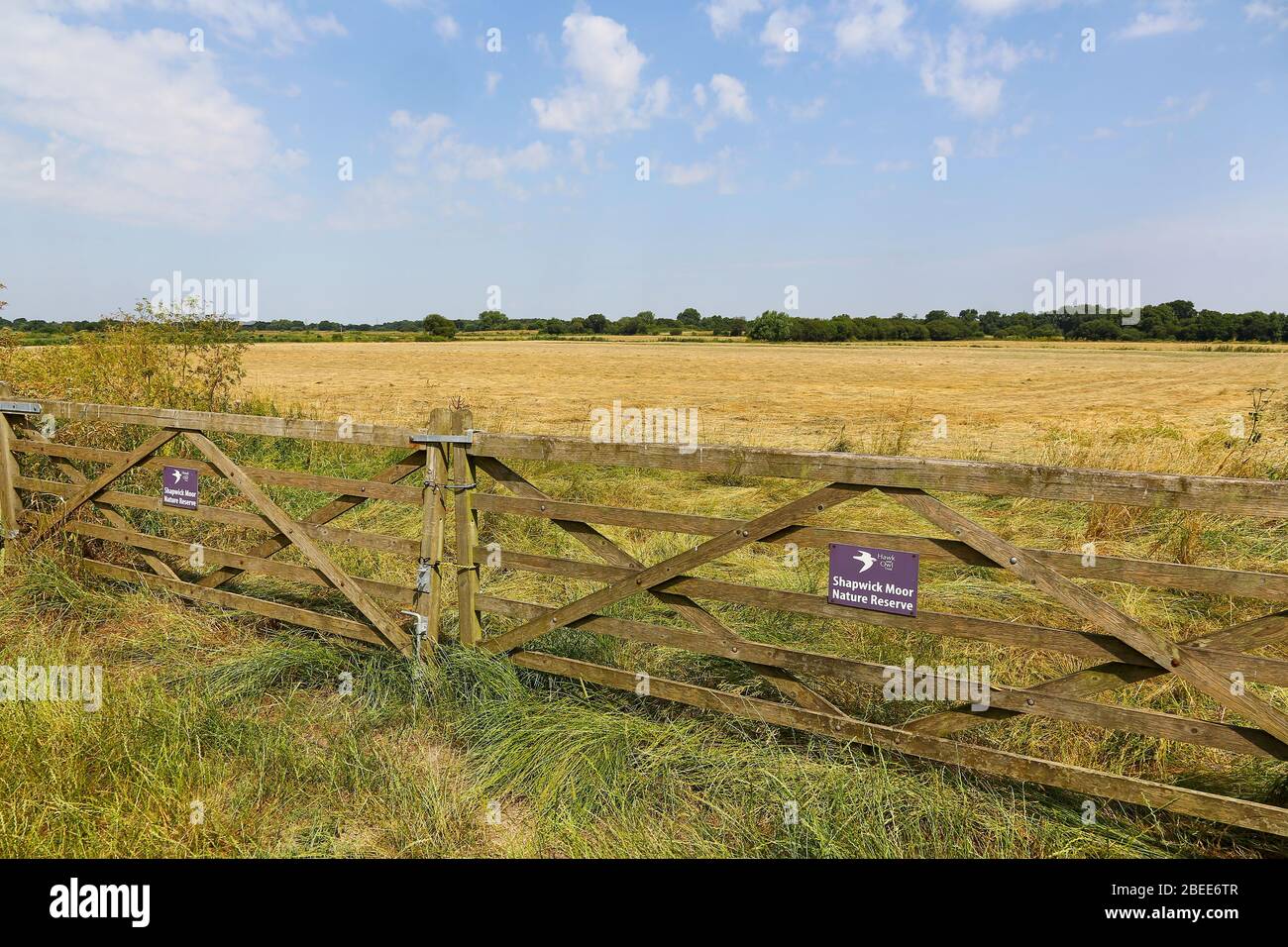 Avalon marshes nature reserve hi-res stock photography and images - Alamy