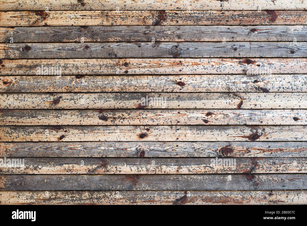 Old small wooden boards eaten by shipworm Stock Photo - Alamy