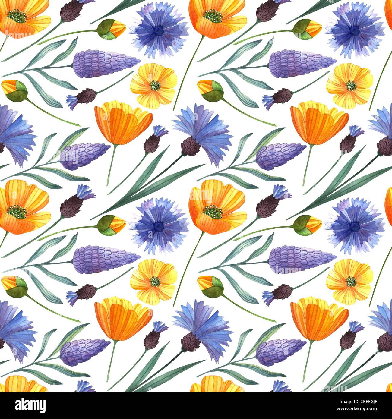 Watercolor seamless hand-illustrated flower pattern. Bright floral ...