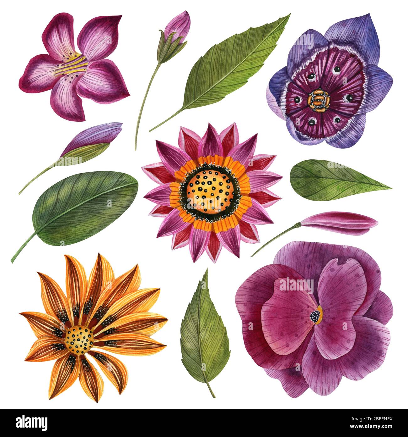 Tropical Watercolor Flowers Clip Art Tropical Watercolor Flowers