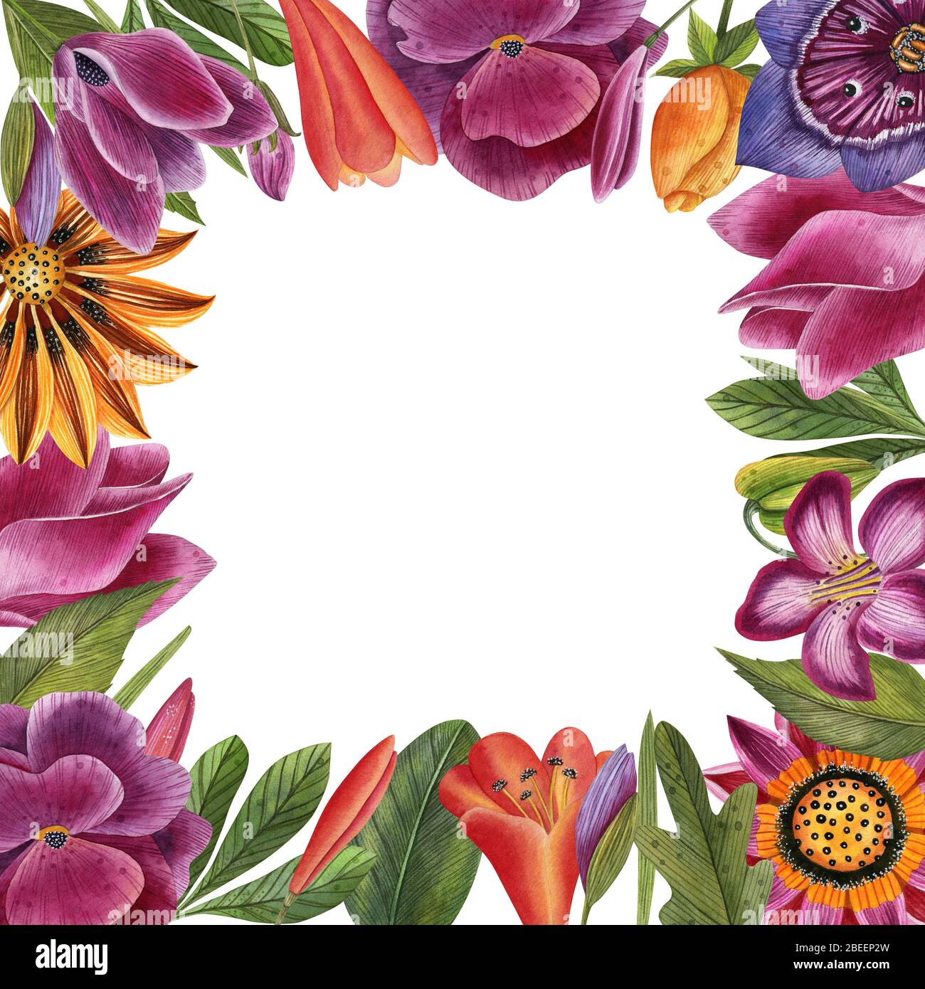Bright Colored Flower Border Free Vectors | Flower Frame 120 Light
