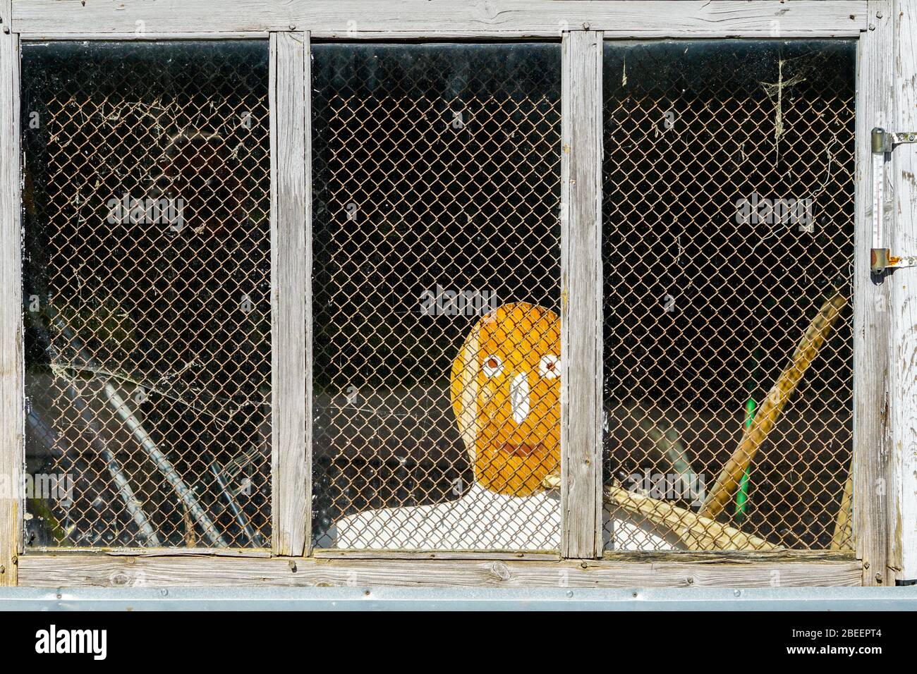 a stylized human face looks out of a window covered by a wire mesh ...