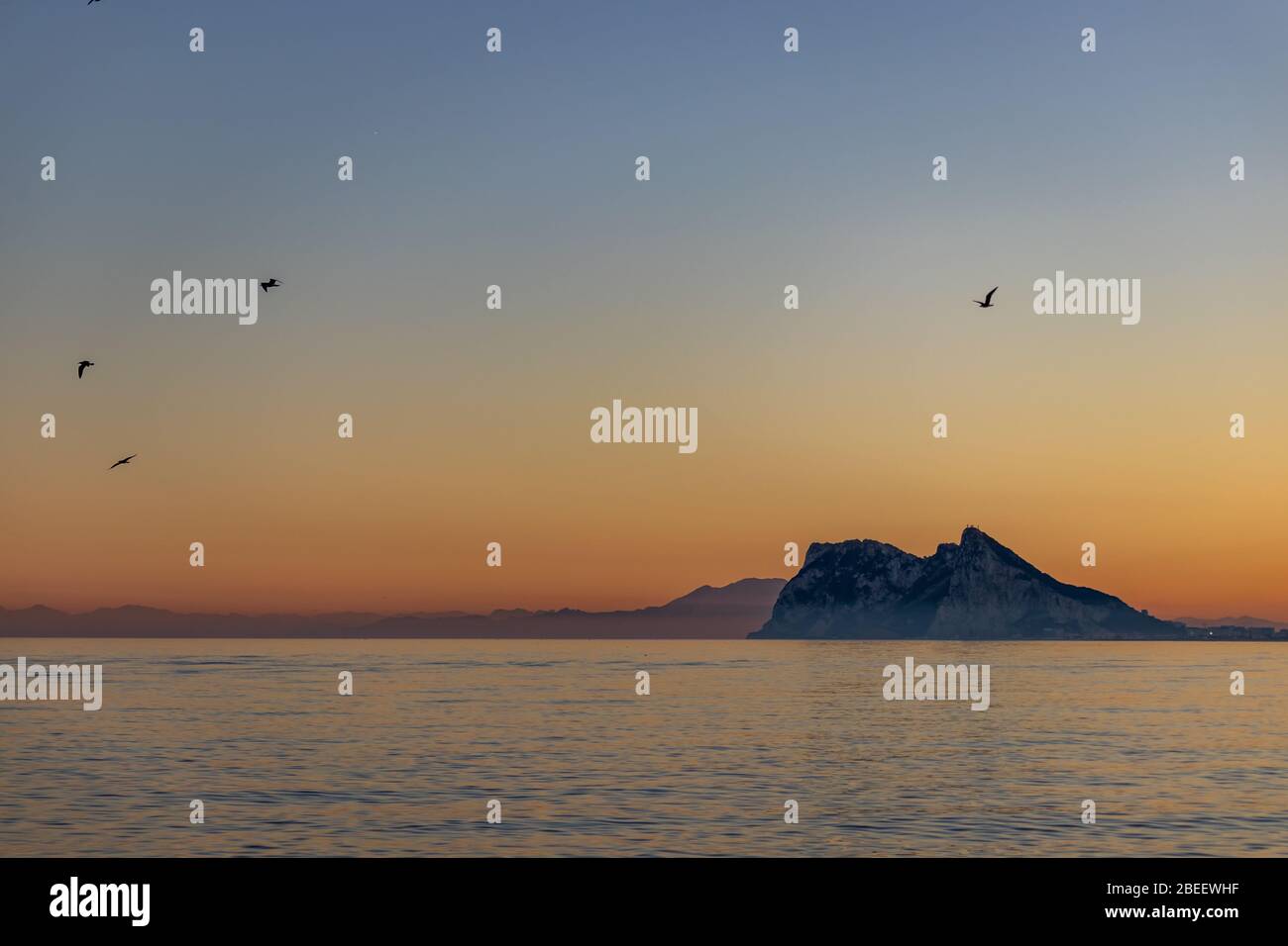 Birds flying around the of Gibraltar seen at sunset from Alcaidesa ...