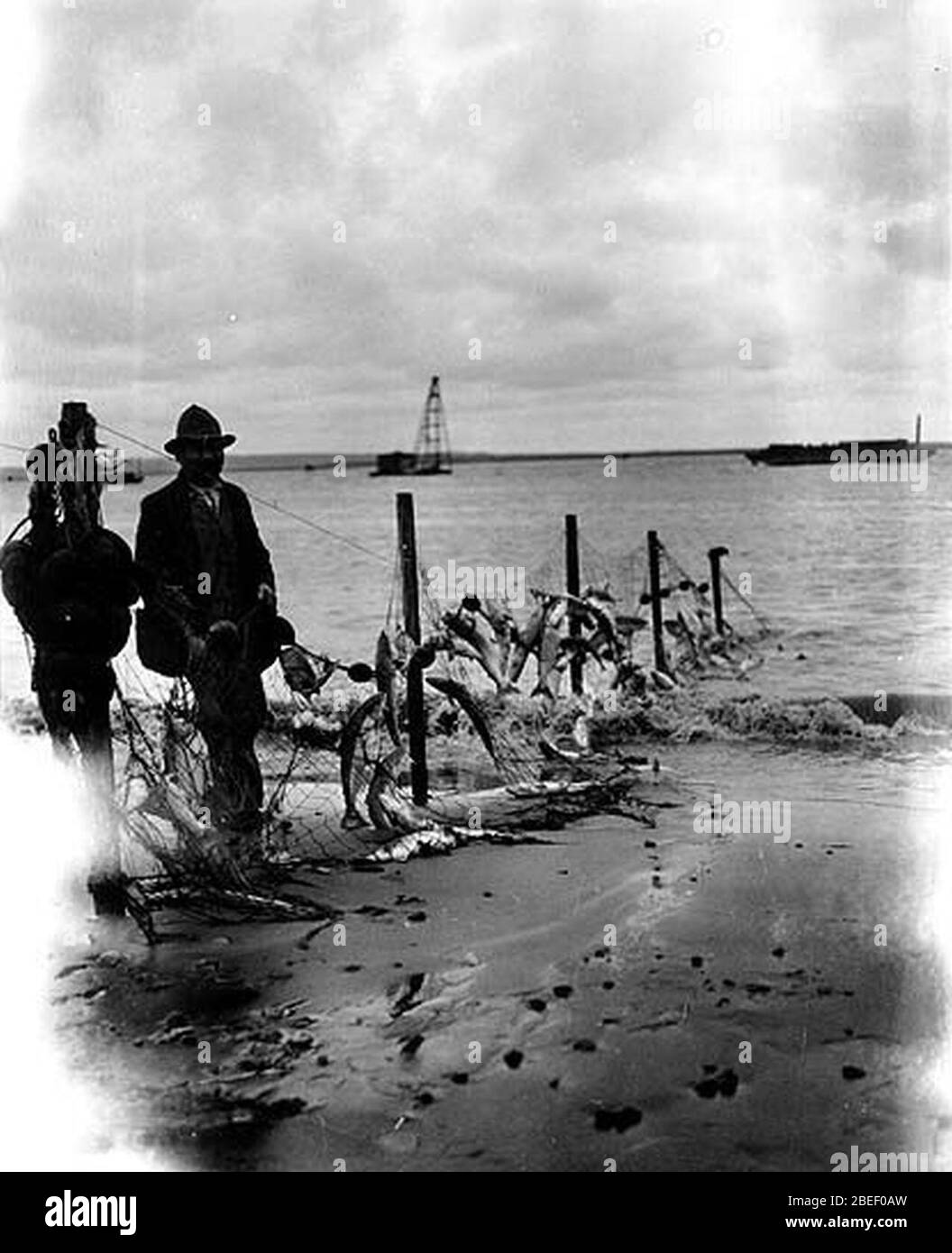 Hauling in salmon from Eskimo fish trap Egegik Alaska 1917 (COBB 290 ...
