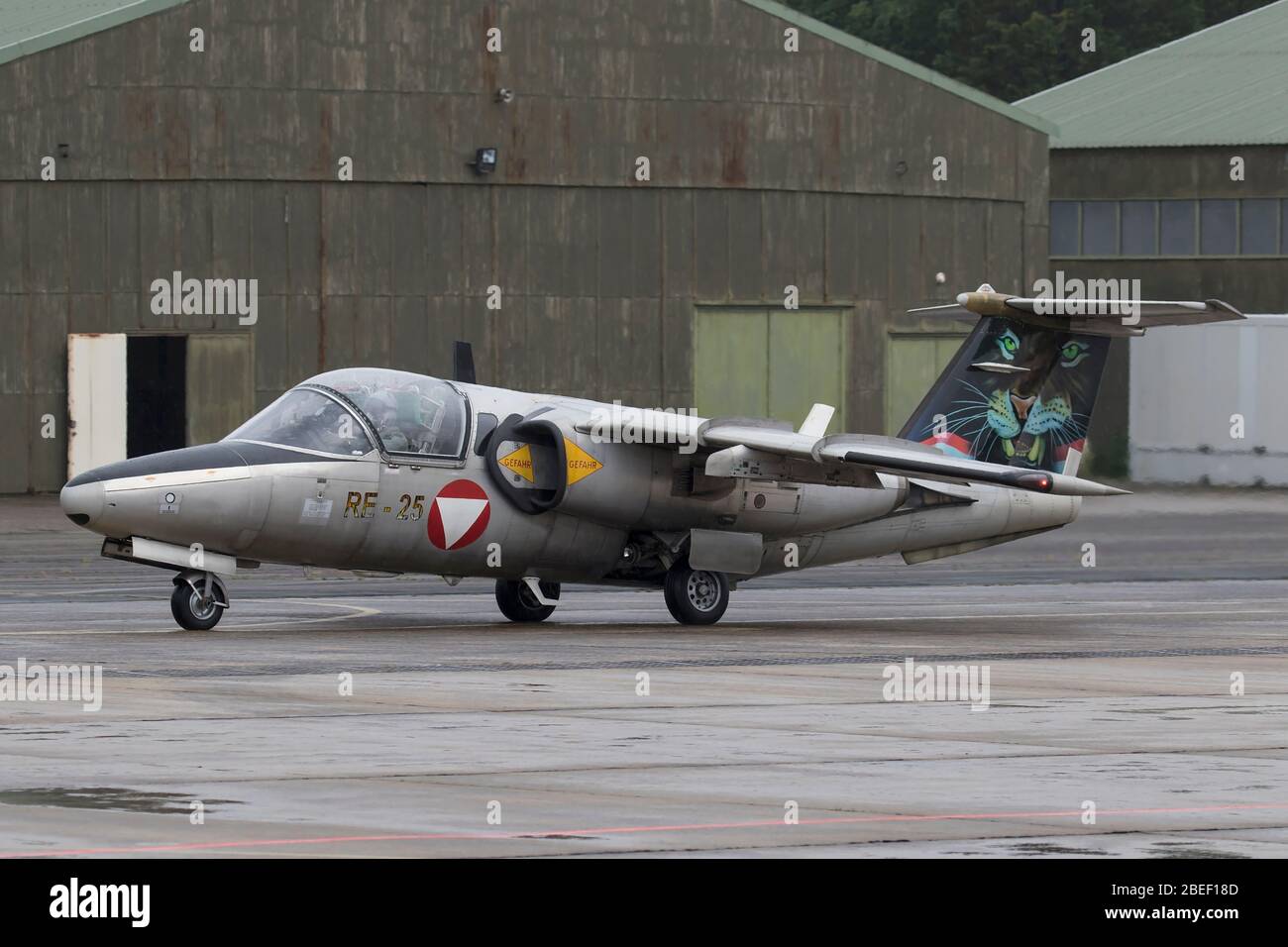 Austrian Air Force Saab 105 at NATO Tiger Meet 2019 at French Air Force ...