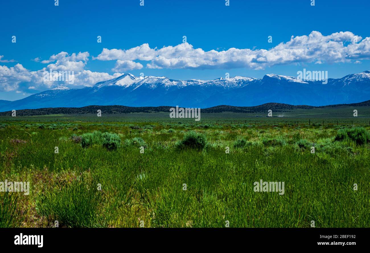 Snow capped mountains rise above a late spring field on route 93 ...