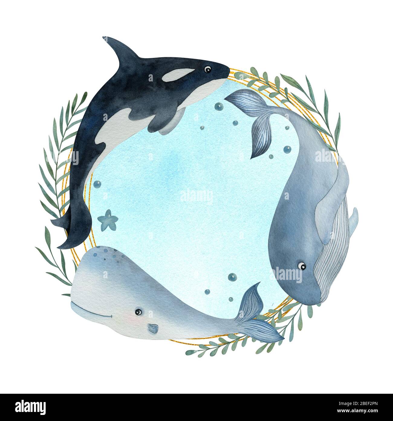 Ornamental frame clipart hi-res stock photography and images - Alamy