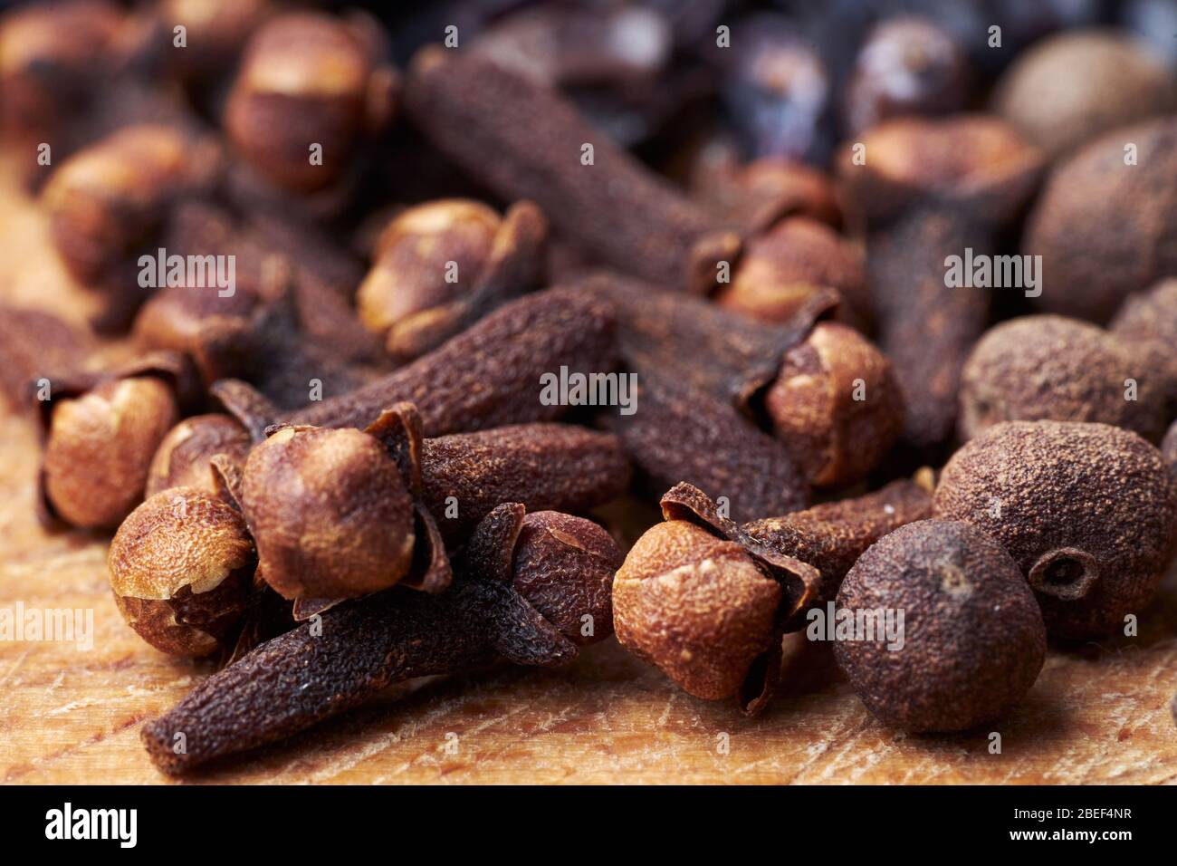 Clove Plant Seeds