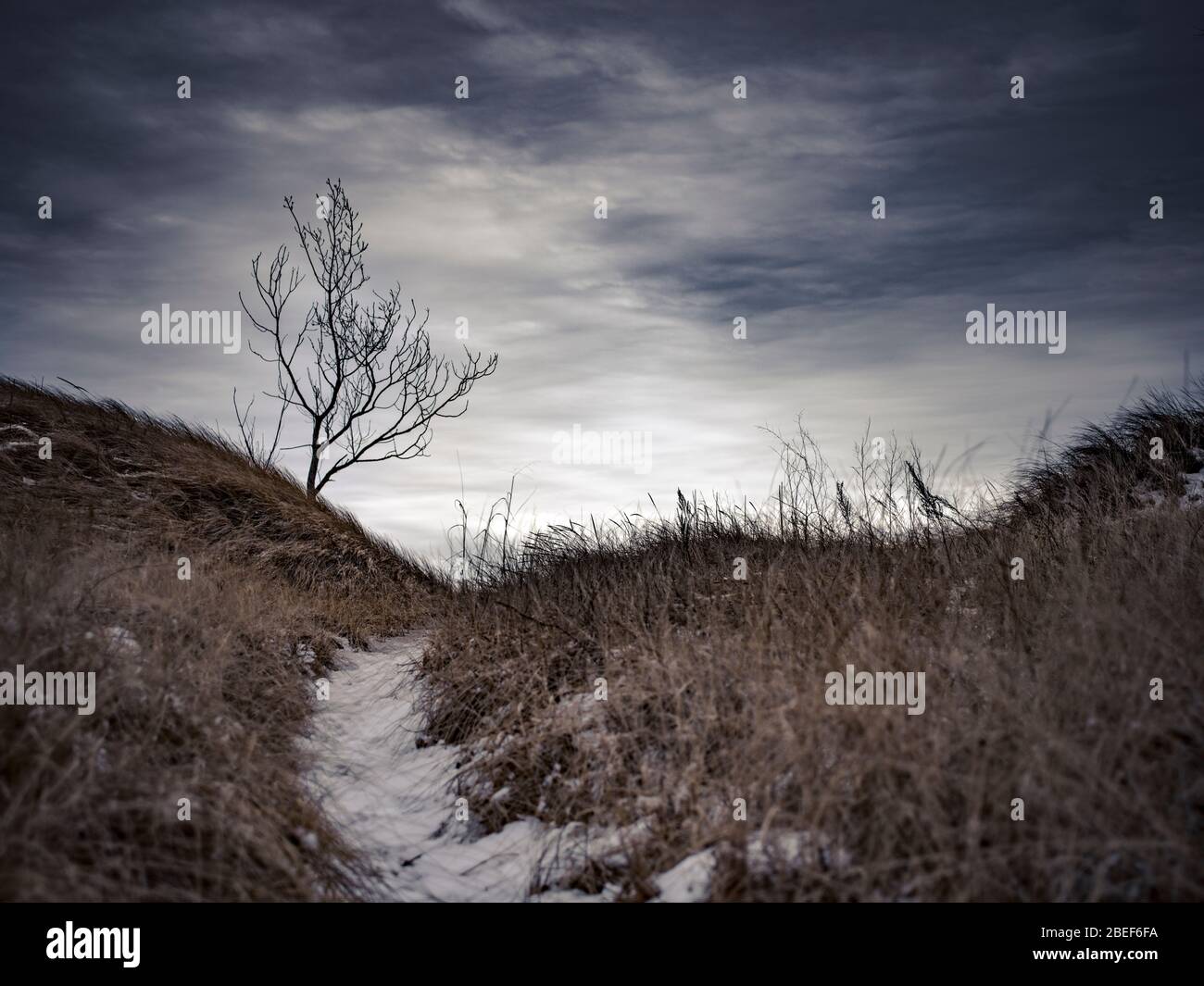 High resolution beauty hi-res stock photography and images - Alamy