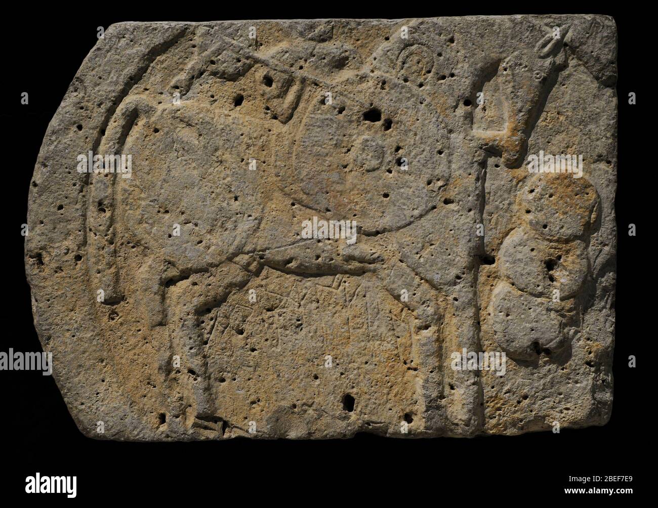 Celtiberian hi-res stock photography and images - Alamy