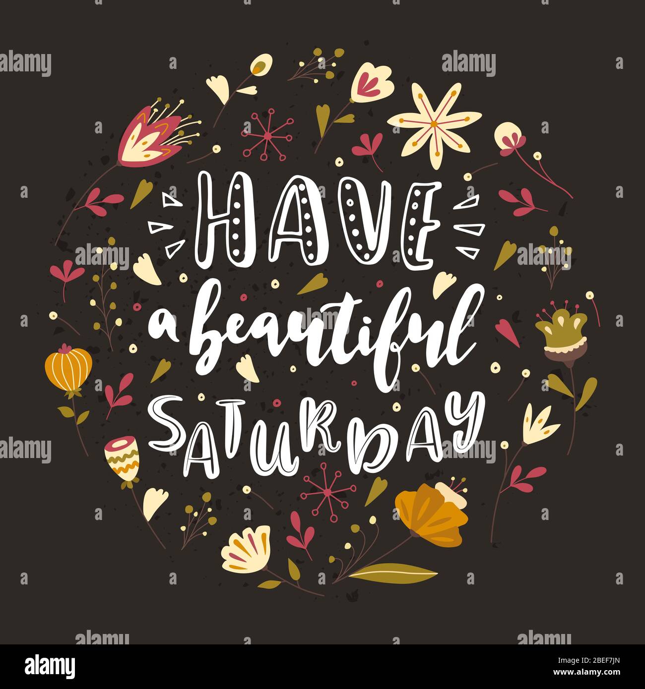 Have a beautiful Saturday. Vector lettering quote. Hand drawn text for ...