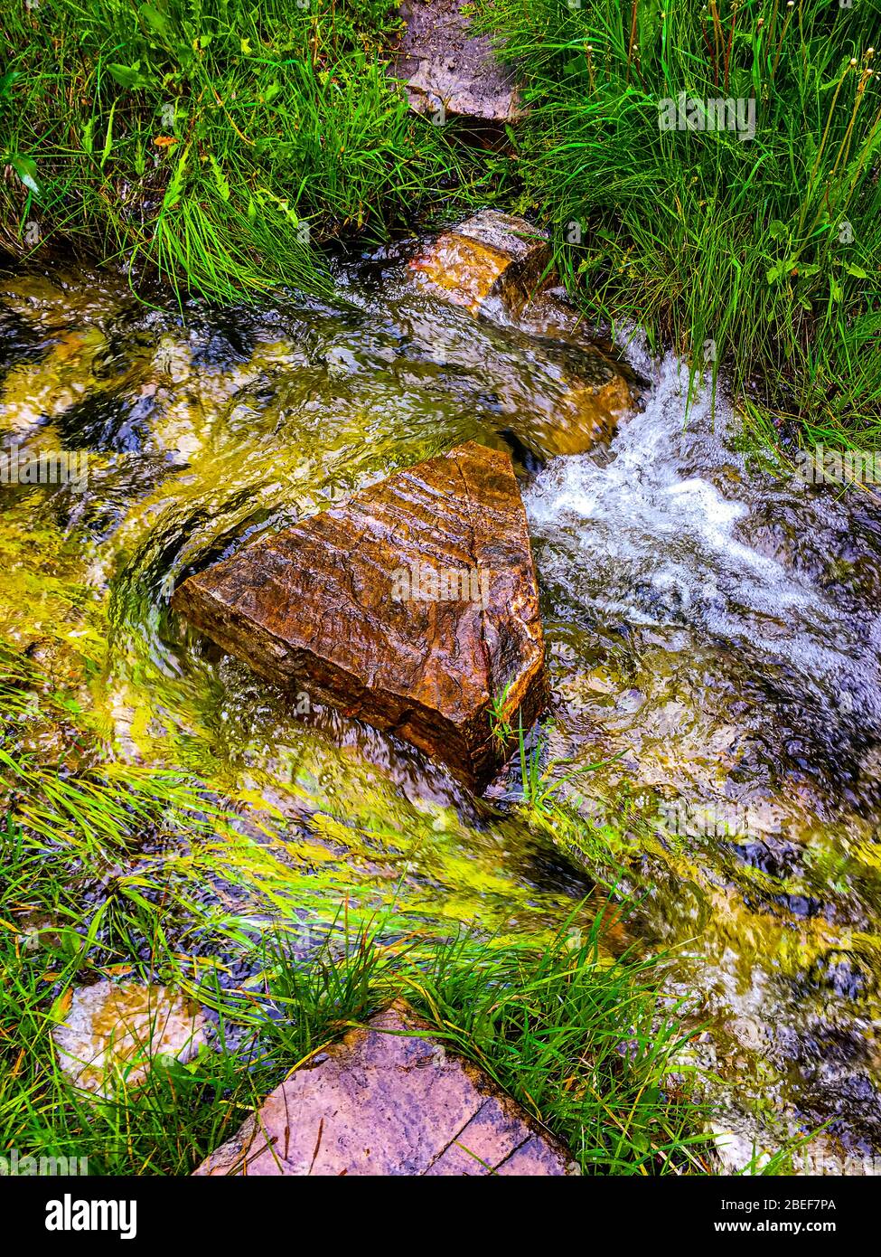 Green grasses caught in the colorful flow of a late spring cascade at ...