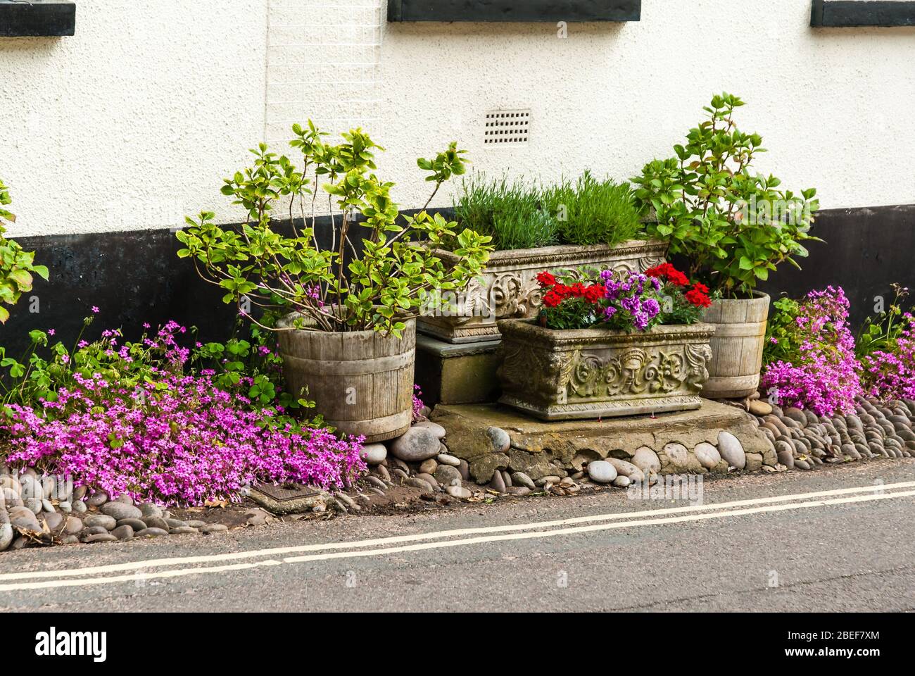 Britain in bloom 2008 hi-res stock photography and images - Alamy