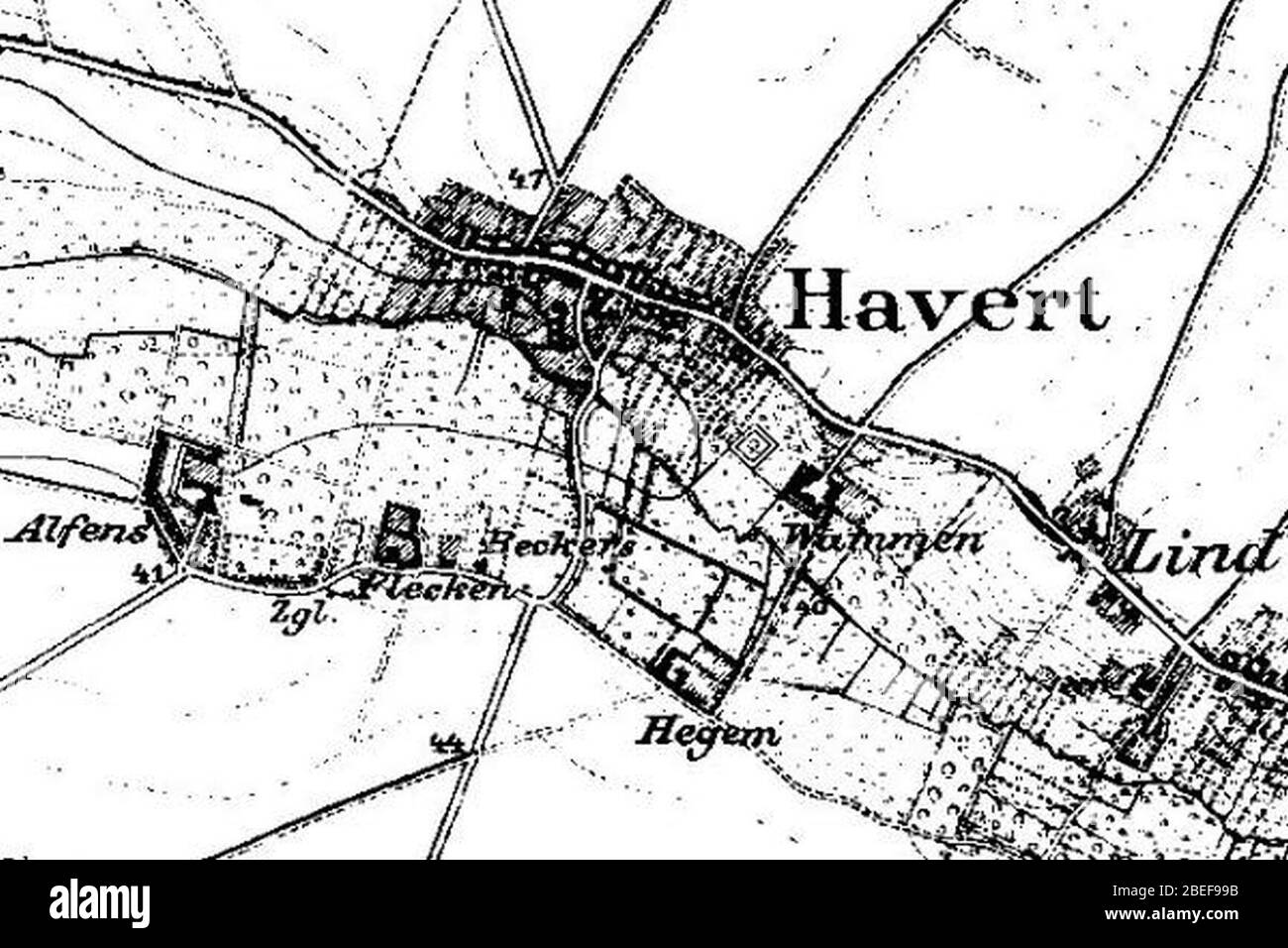 Havert hi-res stock photography and images - Alamy