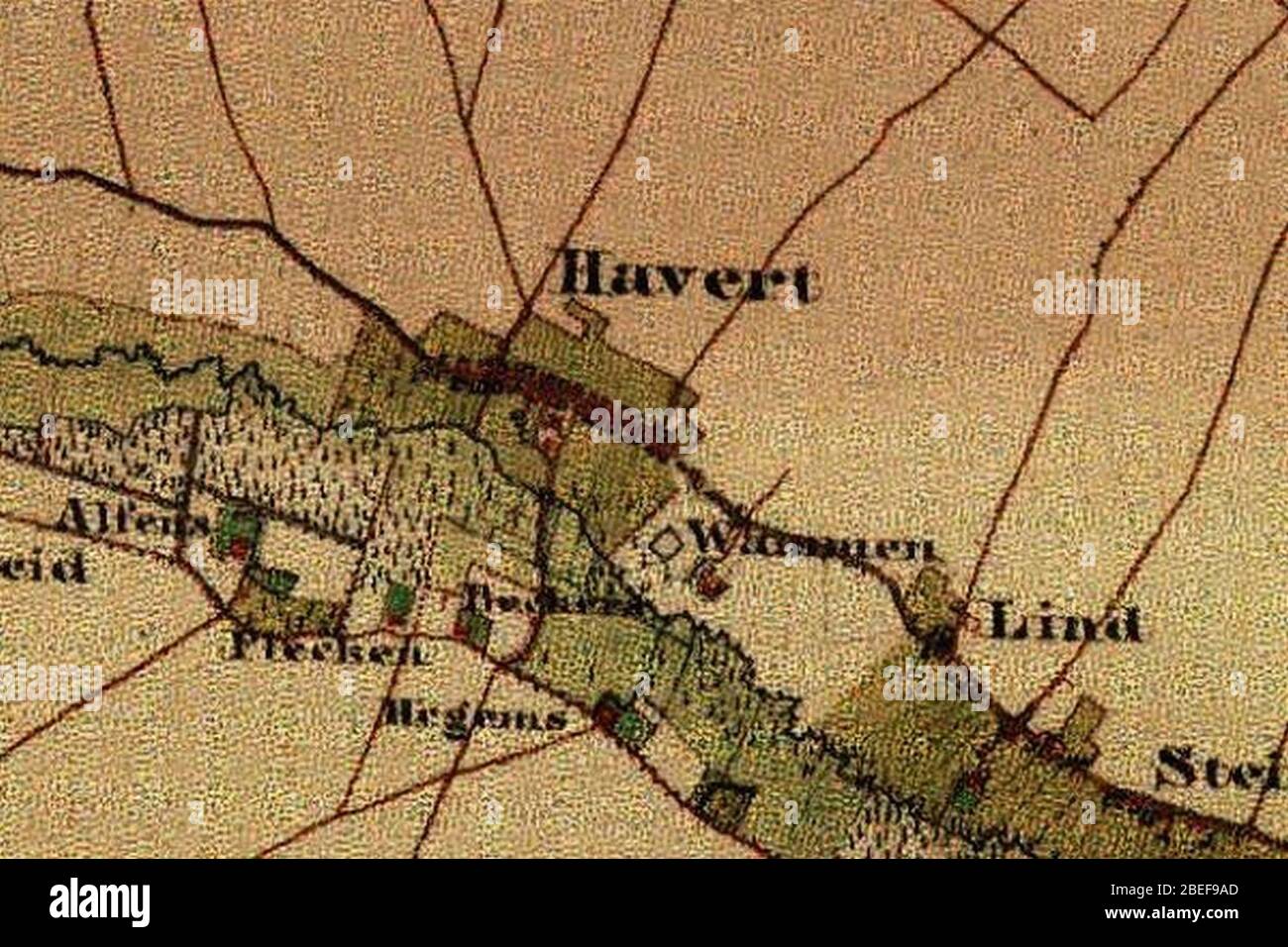 Havert hi-res stock photography and images - Alamy