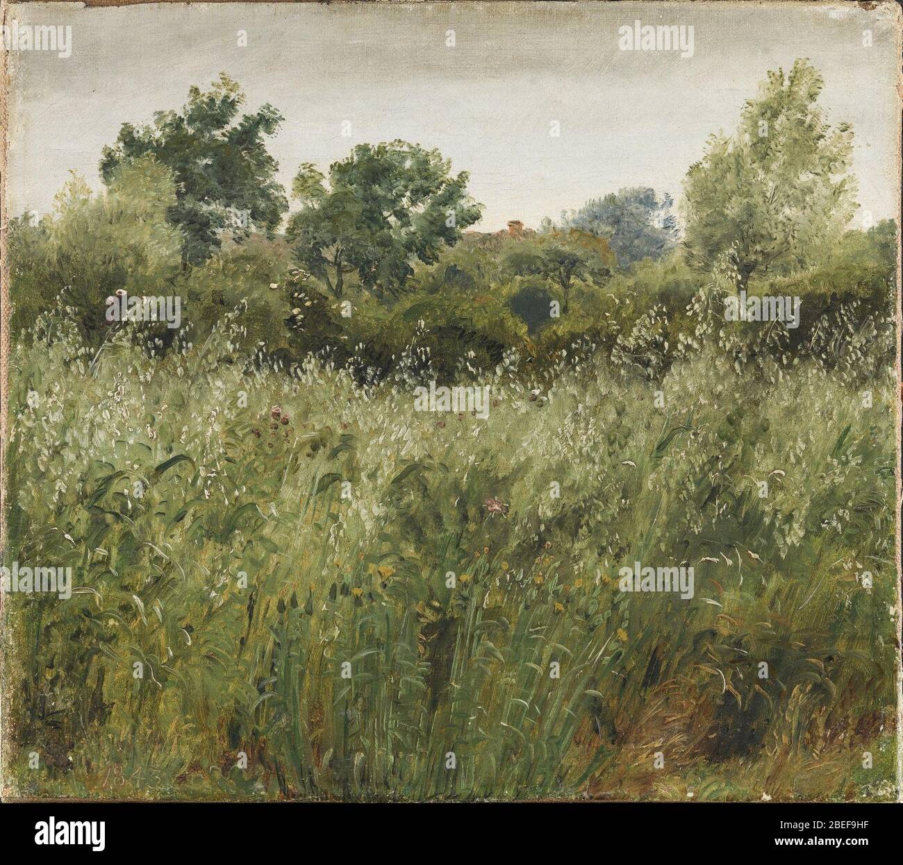 Havremark ved Vejby 1843 Stock Photo - Alamy