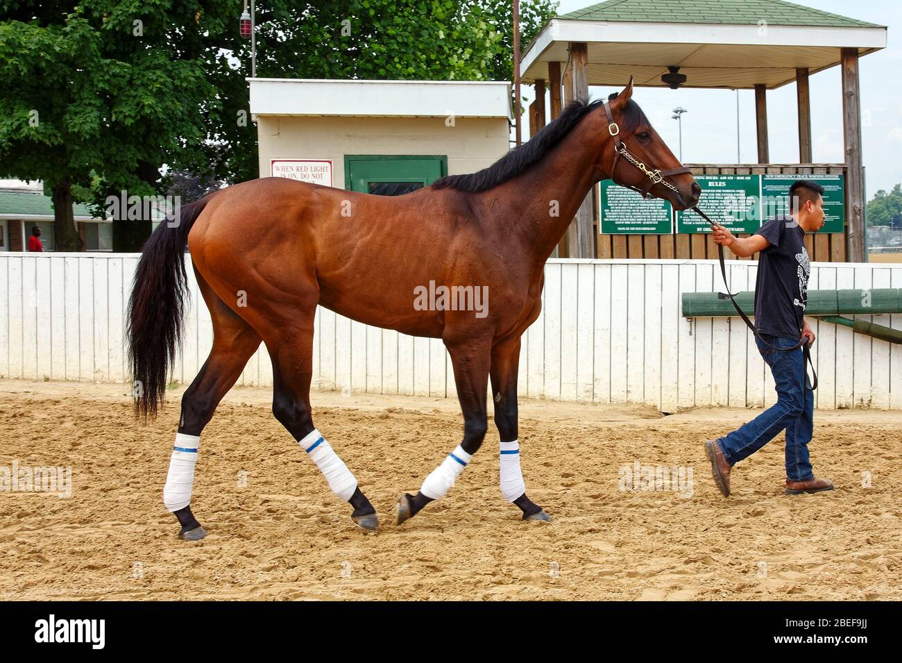 Lower legs bandaged hi-res stock photography and images - Alamy