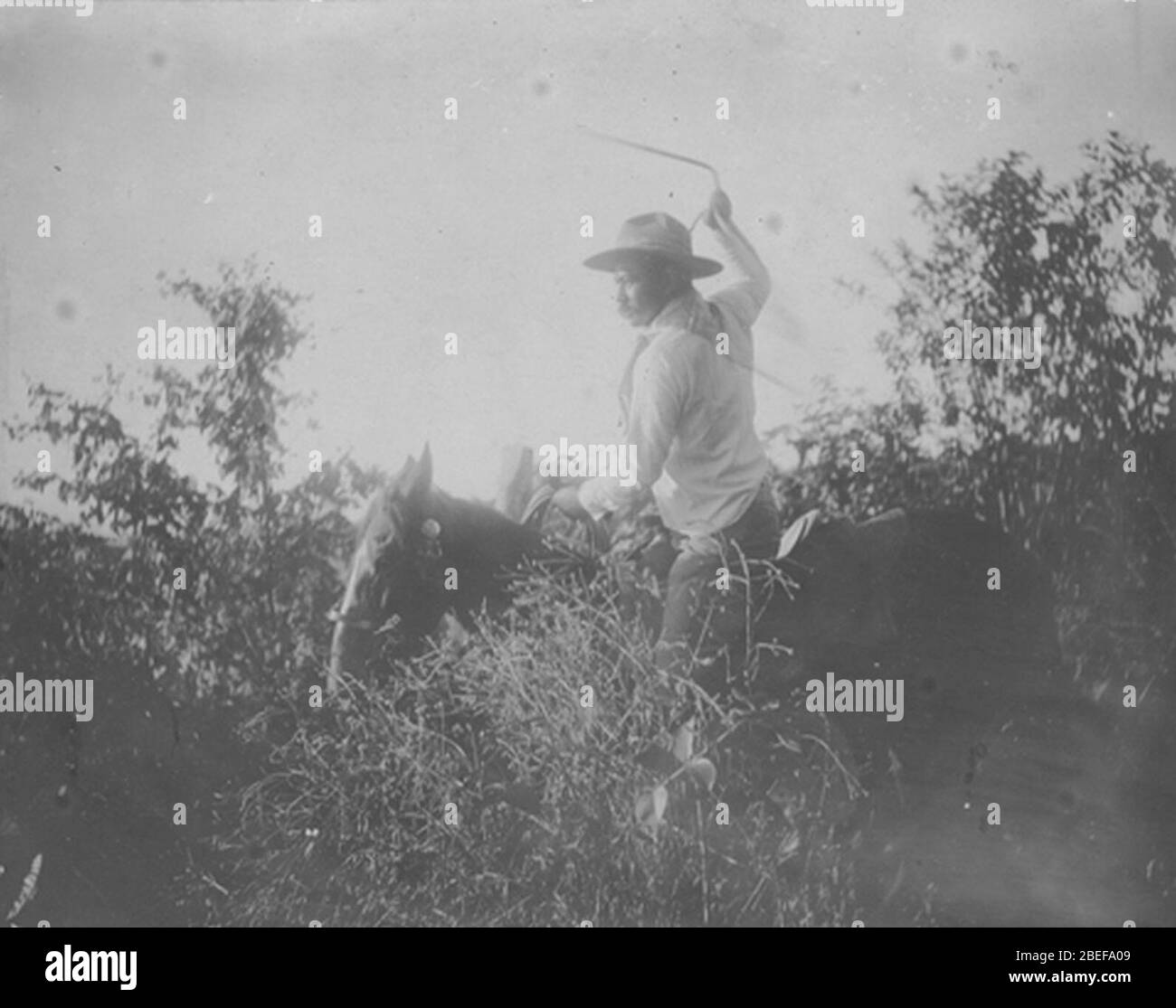 Paniolo hi-res stock photography and images - Alamy