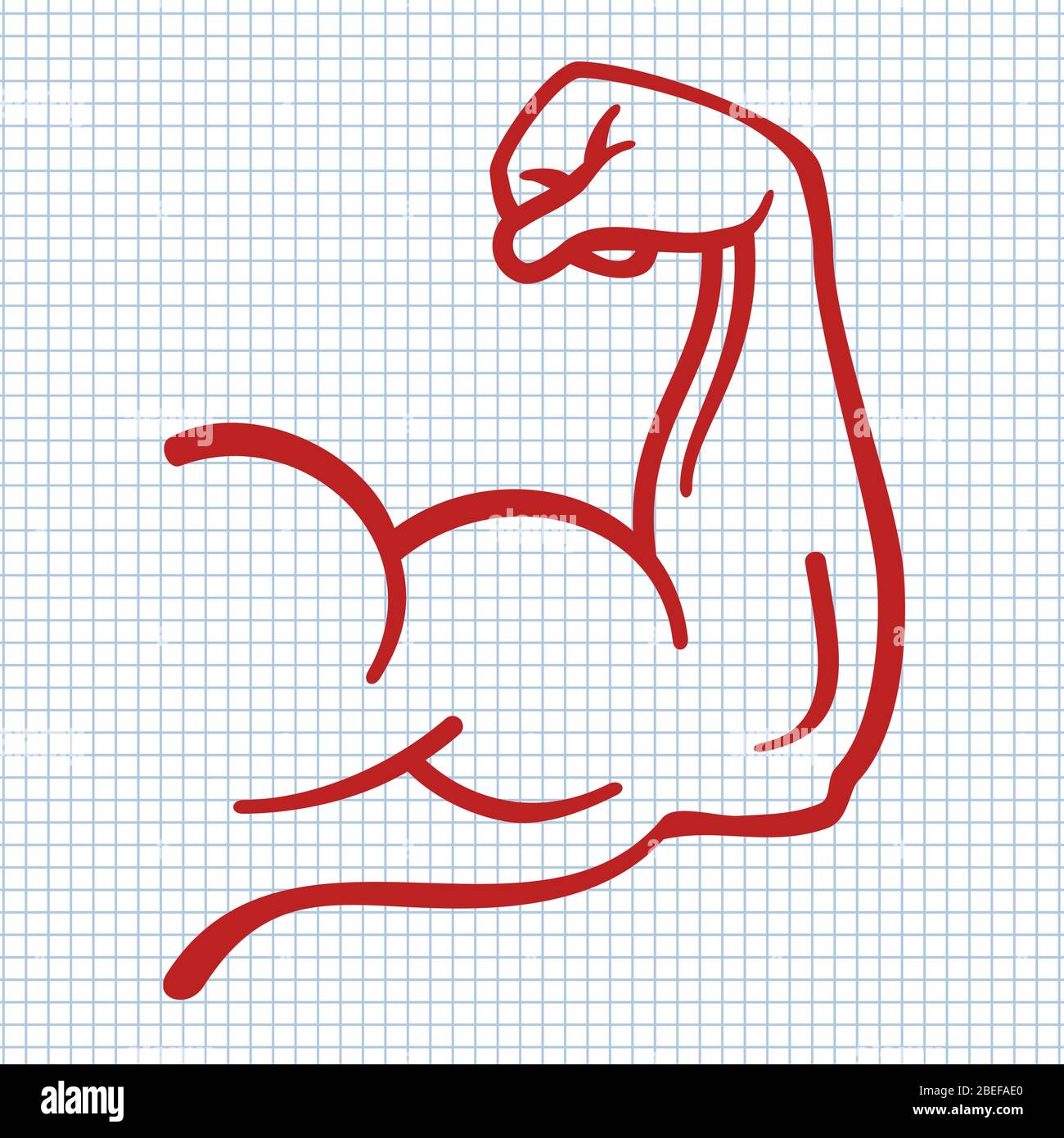 Muscle arm anatomy drawing hi-res stock photography and images - Alamy