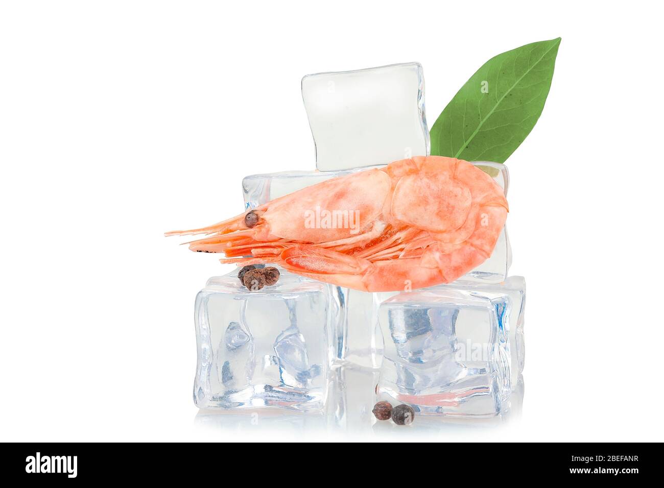 Shrimp on ice cubes background, isolated on white Stock Photo - Alamy